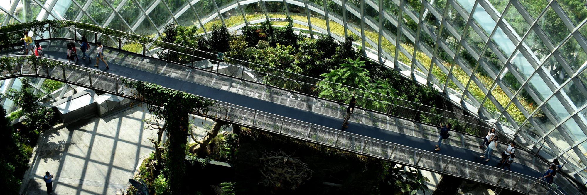 Lecture al master in social innovation dell'ITC - ILO di Torino ...